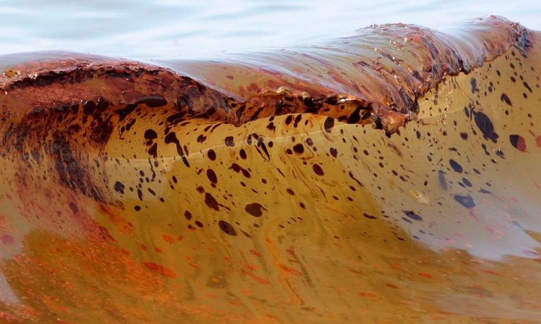 Making it go away: oil spills, corexit and Nova Scotia’s offshore ...